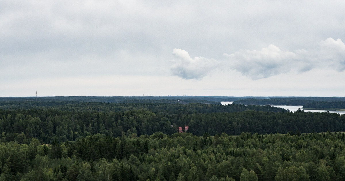 Mustavuori ja Vuosaaren huippu / Natura Viva - Tutustu Vuosaaren ...